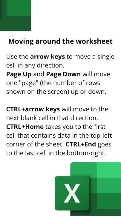 Excel Shortcuts Essentials Shorts Exceltips Education Excel Youtube