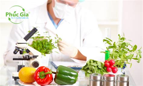 Cơ Quan Kiểm Tra Nhà Nước Về An Toàn Thực Phẩm Thuộc Bộ Nông Nghiệp Tập Đoàn Phúc Gia