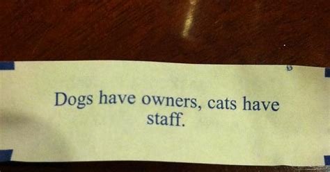 Truth From A Fortune Cookie Imgur