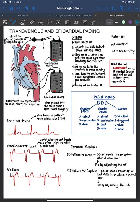 Cardiology Notes Etsy