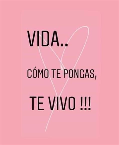 Sofía Vásquez Rivera Posted On Linkedin