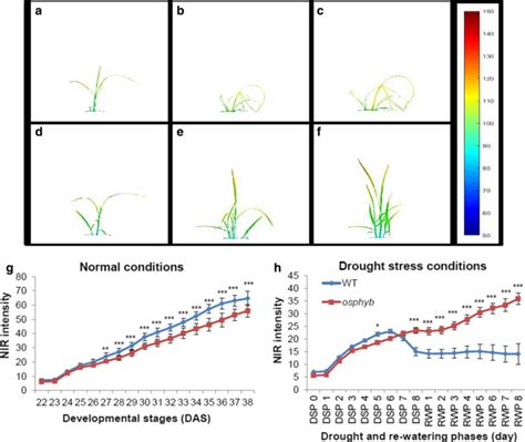 High Throughput Phenotyping Platform For Analyzing Drought Tolerance In Rice Abstract