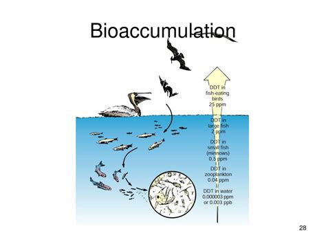 Ppt Environmental Health And Toxicology Powerpoint Presentation Free