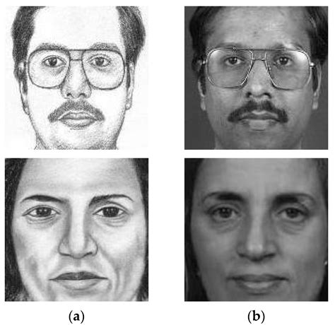 Fine Tuning Of Pre Trained Deep Face Sketch Models Using Smart Switching Slime Mold Algorithm