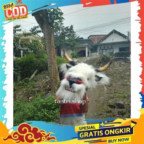 Jual Viral Bantengan Bulu Korea Bantengan Dewasaremaja Bantengan