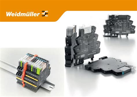 Weidmuller Relay At Joan Byrd Blog