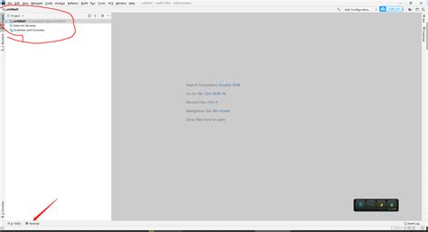 Idea中如何使用npm安装vuejs模块idea Npm Csdn博客