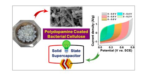 Polydopamine Functionalized Porous Carbon Nanofibers Derived From Bacterial Cellulose For
