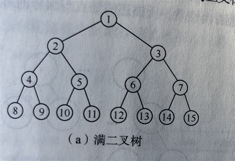 数据结构篇——二叉树的存储与遍历 Ew帮帮网