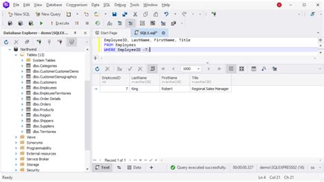 Sql Server Update Statement