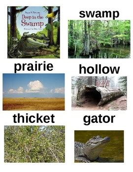 Guided Reading Read Aloud Plan DEEP IN THE SWAMP Level M Donna M Bateman