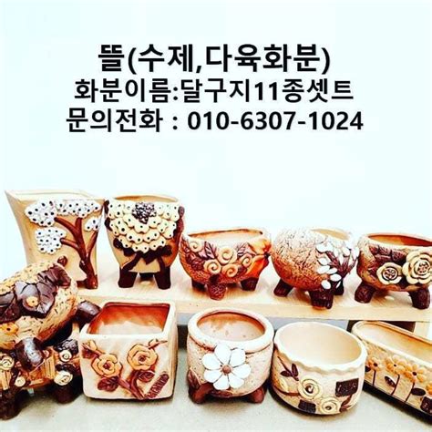 베란다꾸미기에좋은다육이수제화분 헬로마켓