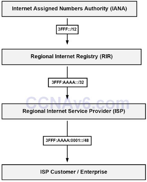 Section IPv