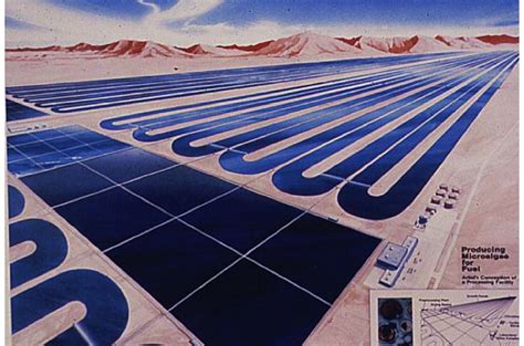 5 Steps To Implement A Containerization Strategy Successfully Kitovet