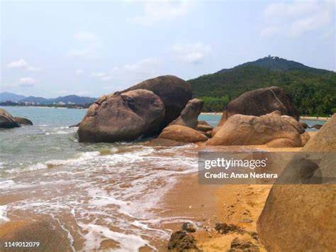 129 Haijiao Stock Photos, High-Res Pictures, and Images - Getty Images