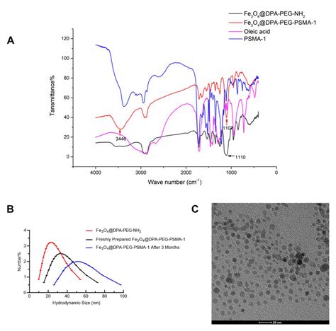 characterization of fe3o4 dpa peg nh2 and fe3o4 dpa peg psma 1 a download scientific diagram