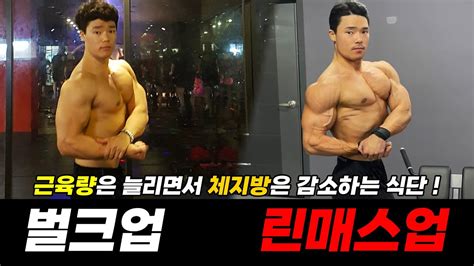 일반인 기준 현실적인 근육량은 늘리면서 체지방은 감소하는 3200kcal 식단 Youtube