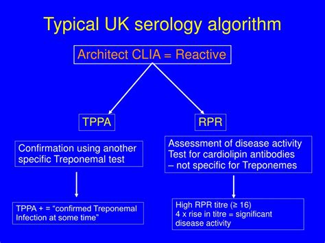 Ppt Syphilis A Clinical Update Powerpoint Presentation Free Download Id 1130384