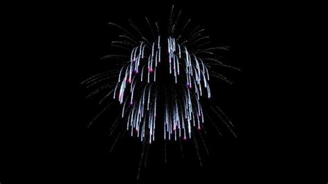 Fireworks Animation Stock Video Footage For Free Download