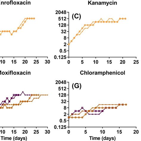 Acquisition Of Resistance By E Coli Mg1655 To Amoxicillin A Download Scientific Diagram