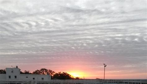 The Potential Inaccuracy Of Toc Sampling Procedures