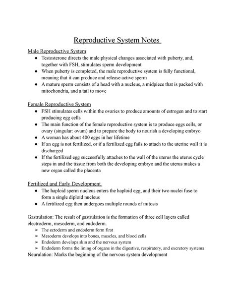 Reproductive System Notes The Ectoderm And Endoderm Form First