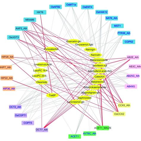 The Bar Plot Of Differentially Expressed Genes And Differentially Download Scientific Diagram