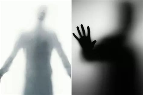 Weird Sex Latest News Updates Pictures Video Reaction Mirror Online