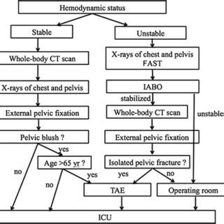 Institutional Algorithm For Patients With Pelvic Fractures Download Scientific Diagram