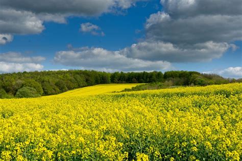 Jon Durrant Frome Wessex Photographic