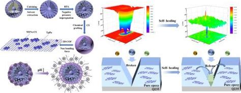 介孔二氧化硅 2d Cof纳米复合材料增强环氧涂层的可控构建具有优异的自修复和长效防腐性能 Progress In Organic Coatings X Mol
