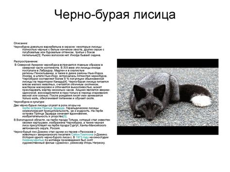 Лиса что символизирует: Лиса-значение символа | Журнал Ярмарки Мастеров