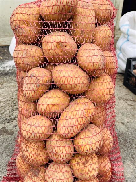 Javakheti Group ჯავახეთი Javakheti Group ჯავახეთი ჯგუფი