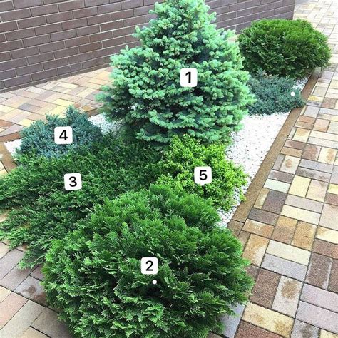 Современный дачник [5 мар 2022 в 10 23] Миниатюрная группа из карликовых форм😍 Королевой и