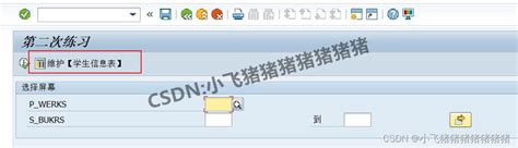 abap 选择屏幕按钮 csdn博客