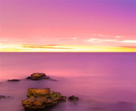 What Makes The Puce Color So Elegant And Captivating Hipfonts