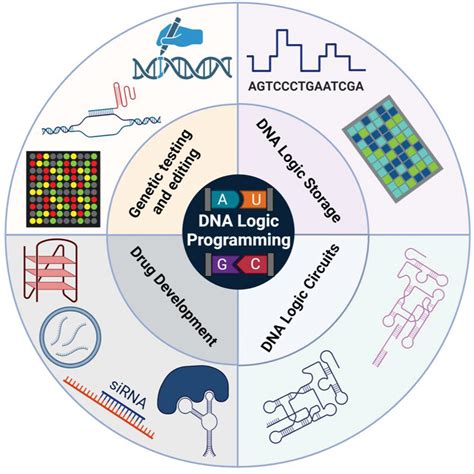 Dna Logic Programming From Concept To Construction Zhang View Wiley Online Library Dna Logic Programming From Concept To Construction Zhang View Wiley Online Library