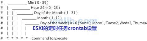 Esxi定时任务计划任务（esxi Croncrontab Vm技术库