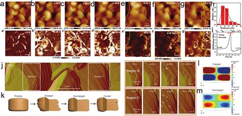 In Situ Ec Afm Images Showing The Topography A G And Dmt Modulus
