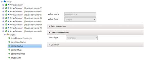 Question How Do I Add Data Format To Elements With An Identifier Instance Json Boomi Community