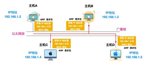 Arp协议详解 Csdn博客
