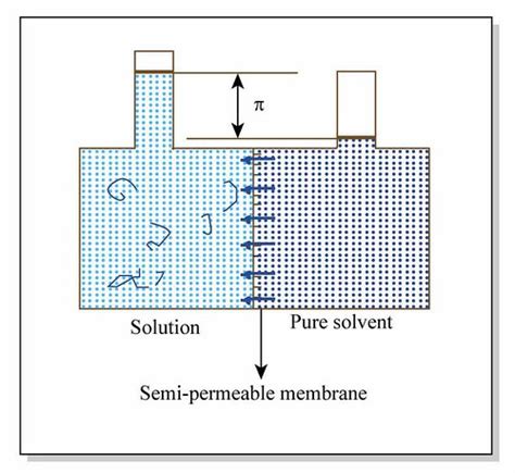 Membrane Osmometry Diagram Of A Membrane Osmometer Format Flickr