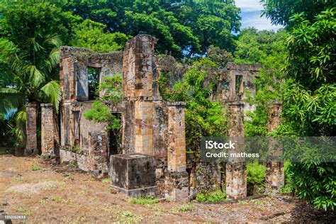 프랑스 령 기아나의 일스 뒤 살루트 섬 중 하나인 일 로얄의 옛 형벌 식민지 유적 건축에 대한 스톡 사진 및 기타 이미지 Istock
