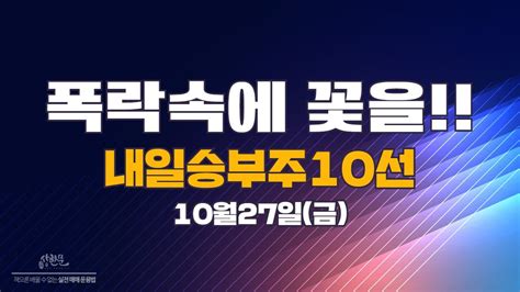 10월27일금 내일승부주10선 퀄리타스반도체워트퓨릿신서엥스티한창 에코플라스틱국제약품경동제약제이엘케이씨씨에스현대바이오에스디시스템우듬지팜 Youtube