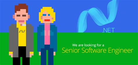 Vacancy Senior Software Engineer Net Lei The Hague Emploit