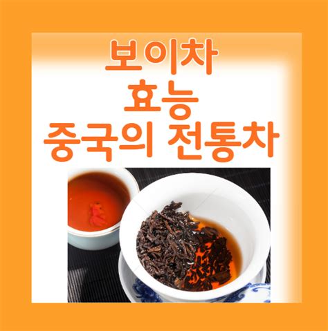 중국 황실의 전통 차 보이차 효능 역사 및 건강 효과