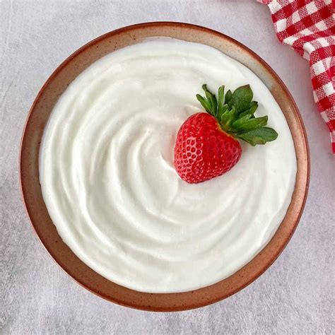 What S The Difference Between Yogurt And Ice Cream All Difference
