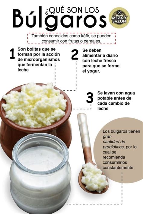 Búlgaros Qué Son Y Cómo Usarlos Recetas Vegetarianas En Español