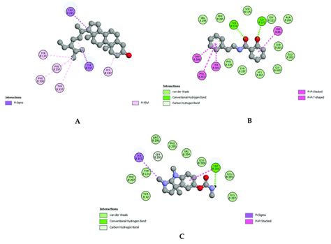Interaction Between Acetylcholinesterase And Ligands A γ Sitosterol Download Scientific