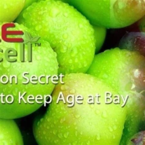 Double Stem Cell Phytoscience Stem Cell